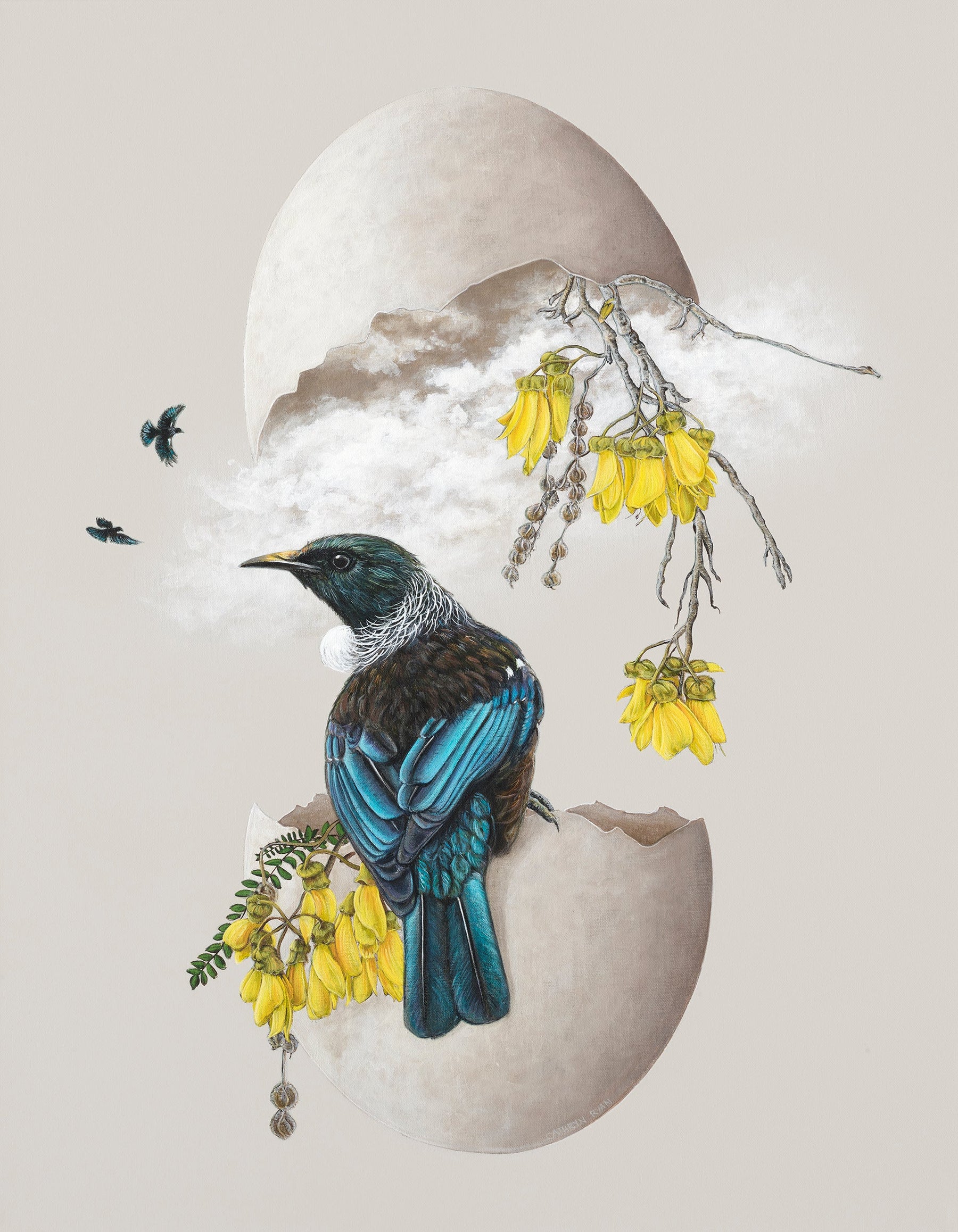 Collections – Flagstaff Gallery