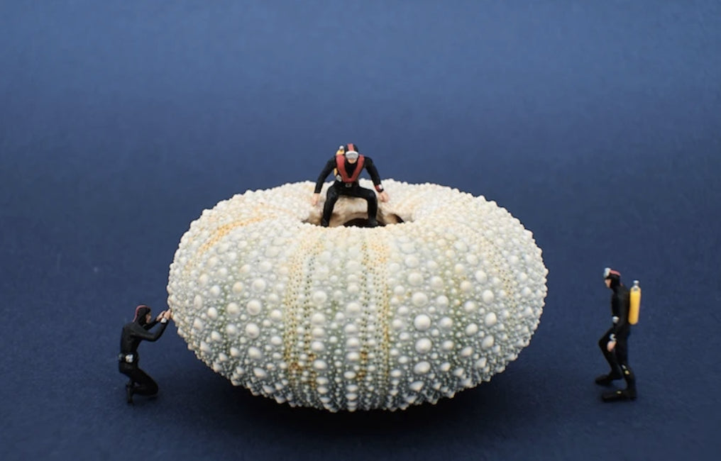 The Bubble's Pull Was Strong (A3) – Flagstaffgallery