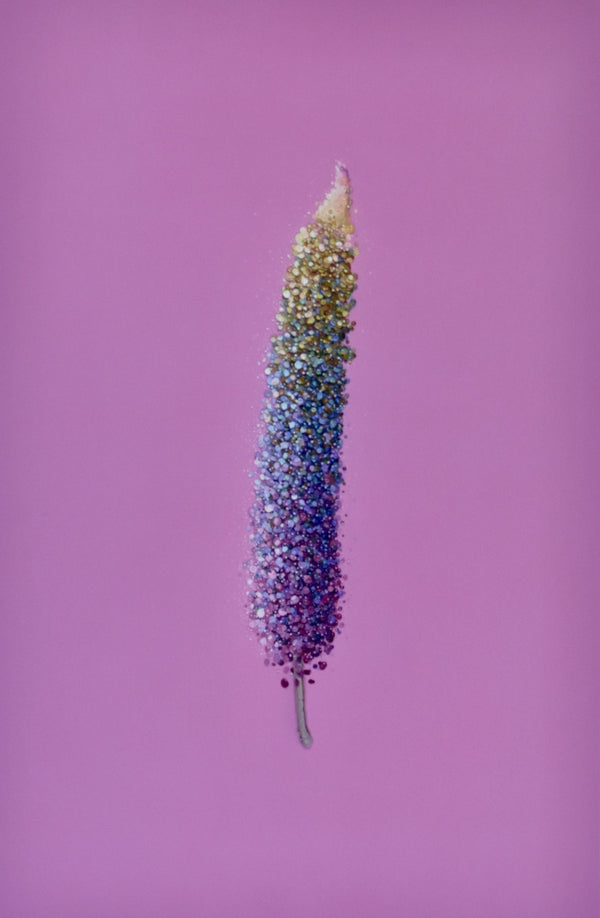 Joshua Davison – Flagstaff Gallery